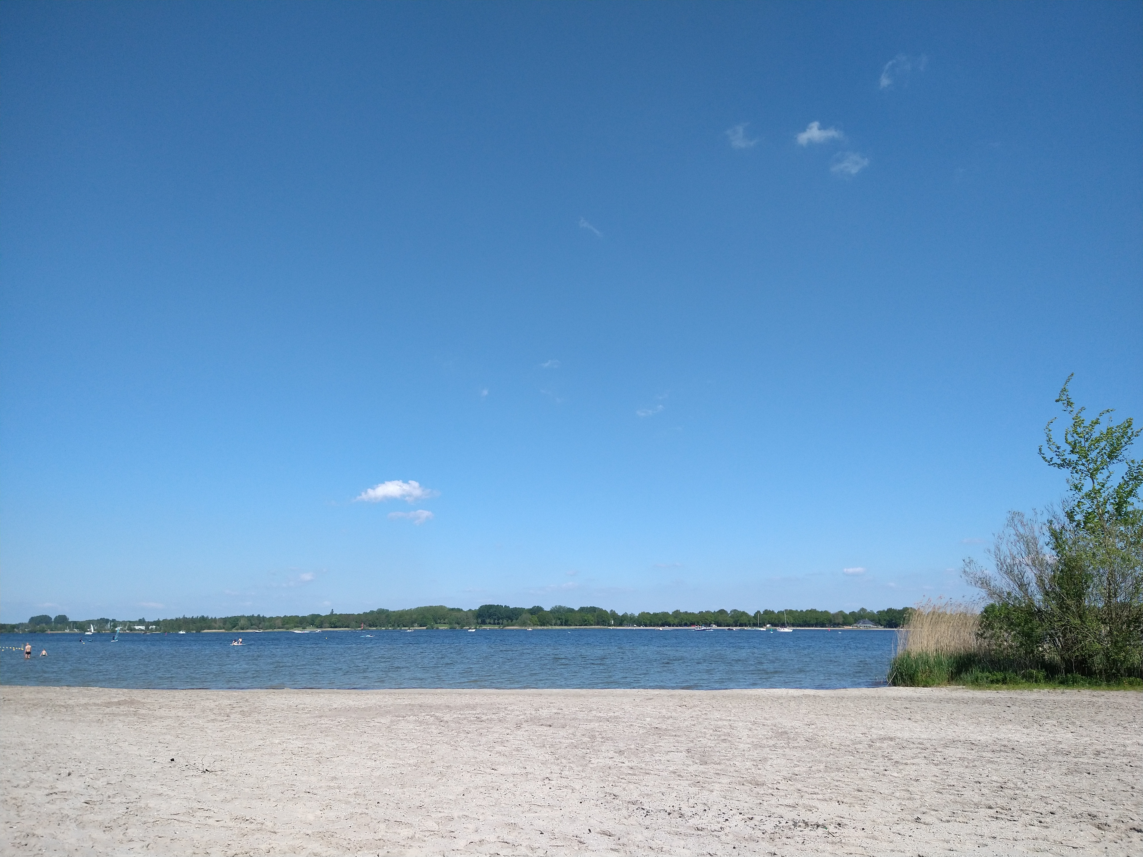 Zeewolde bos en strand – Willems Wonderlijke Wandelingen