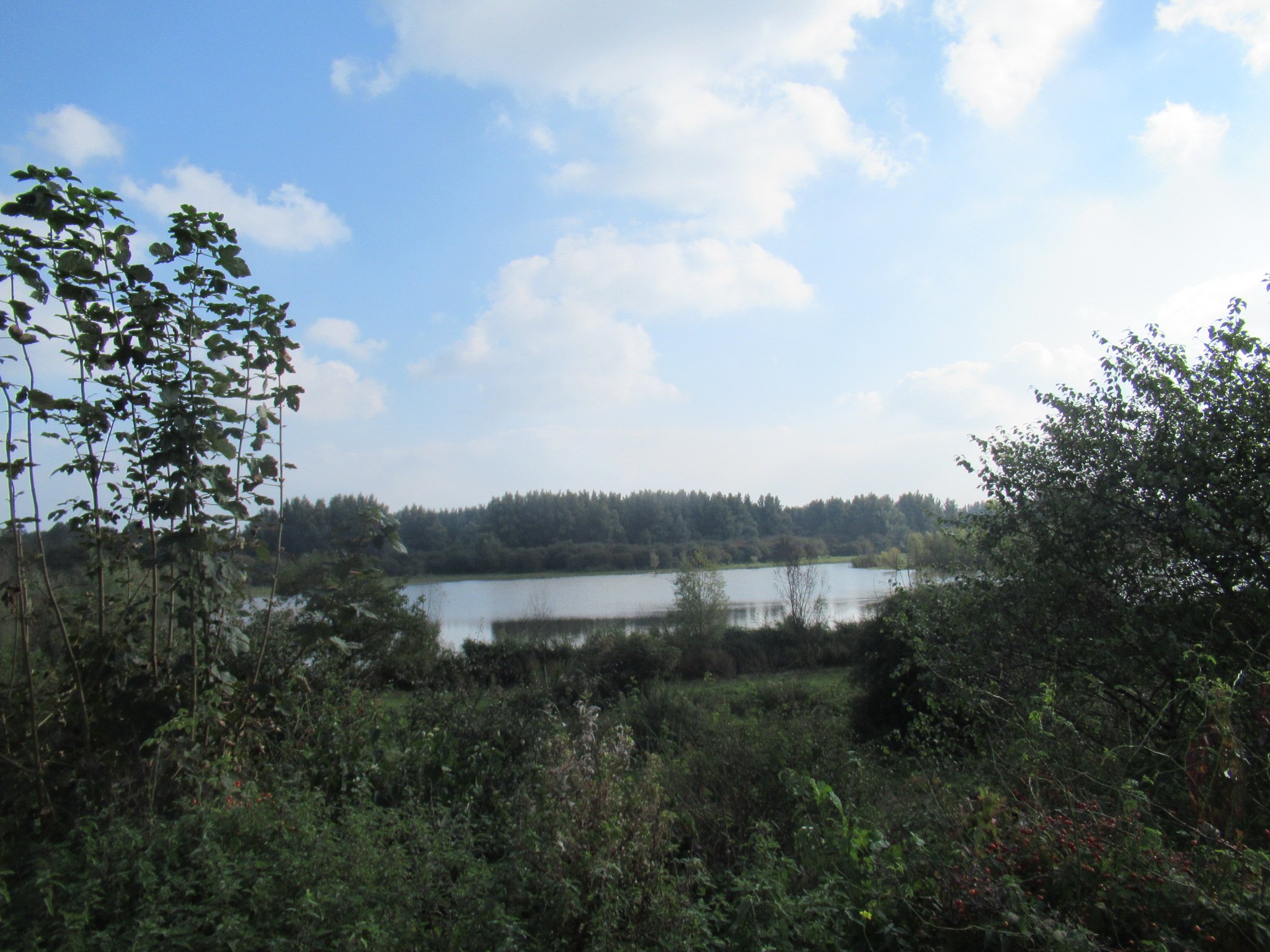 De Stille Kern – Willems Wonderlijke Wandelingen