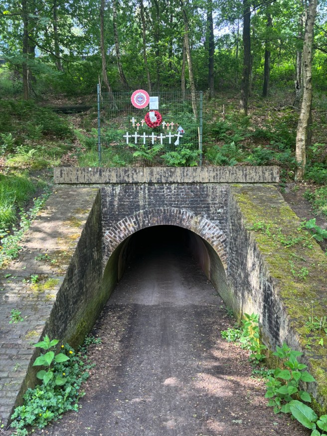 Stationswandeling van Oosterbeek naar Wolfheze – Willems Wonderlijke ...